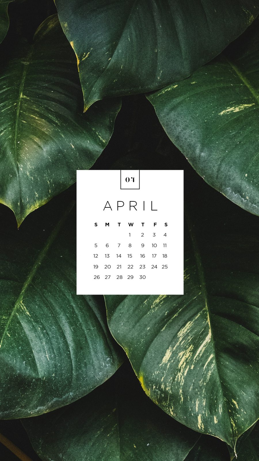 April Desktop and Mobile Wallpaper - sonrisastudio.com