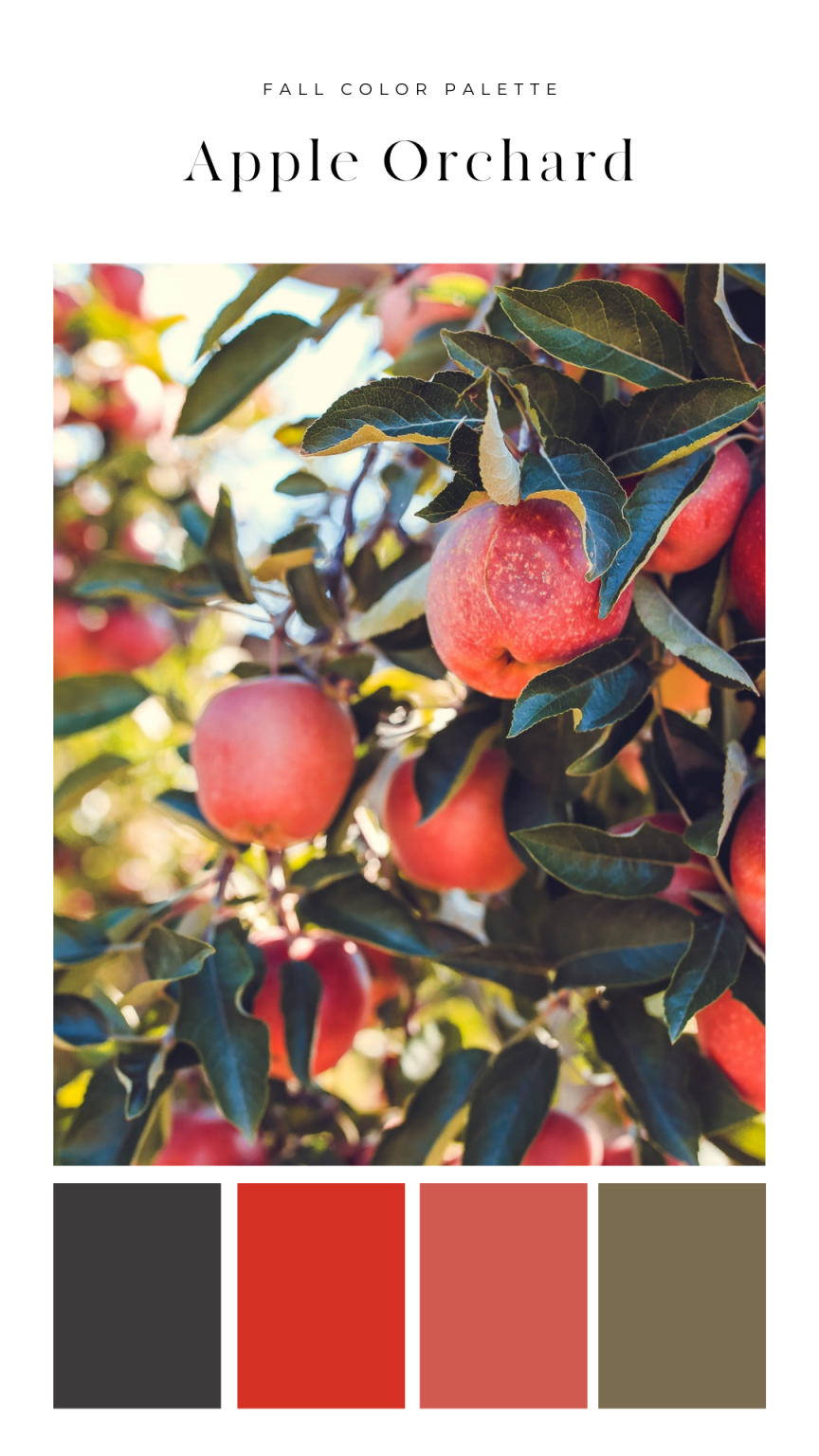 Fall Color Palette Inspiration | Sonrisa Studio | sonrisastudio.com