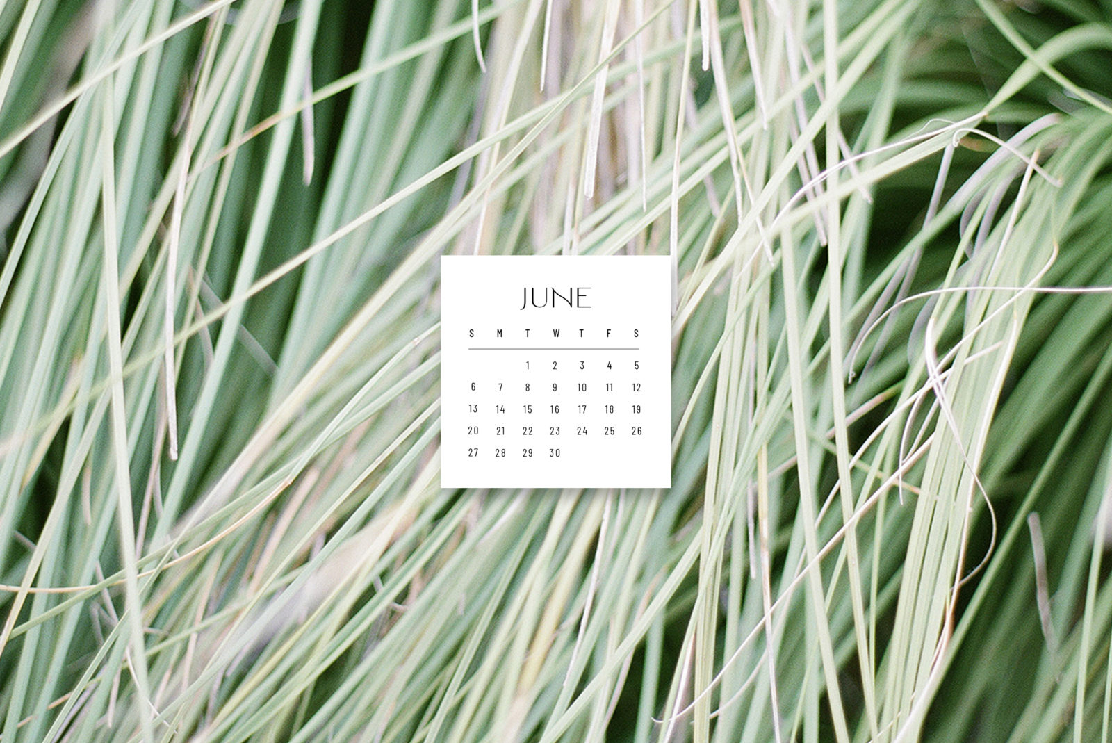 June Desktop and Mobile Wallpaper - sonrisastudio.com