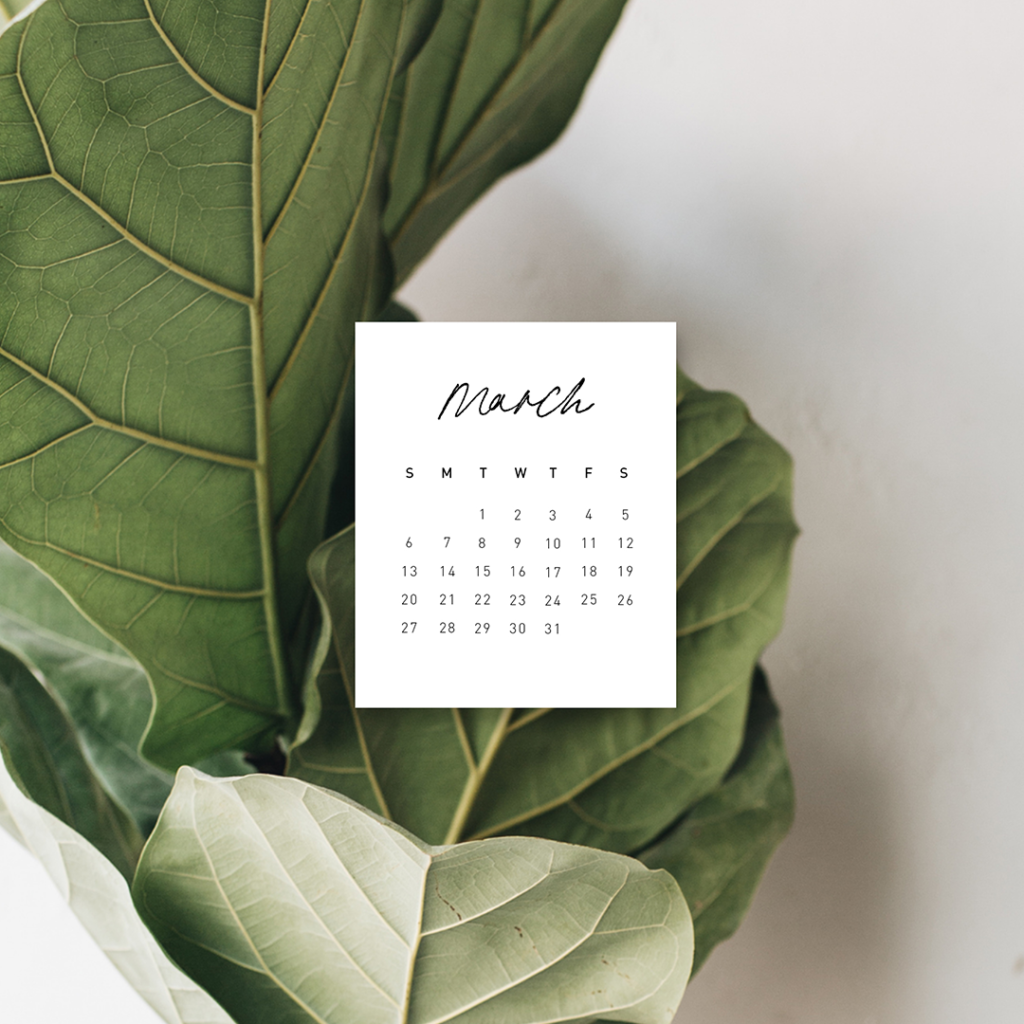 March Calendar Wallpaper - sonrisastudio.com