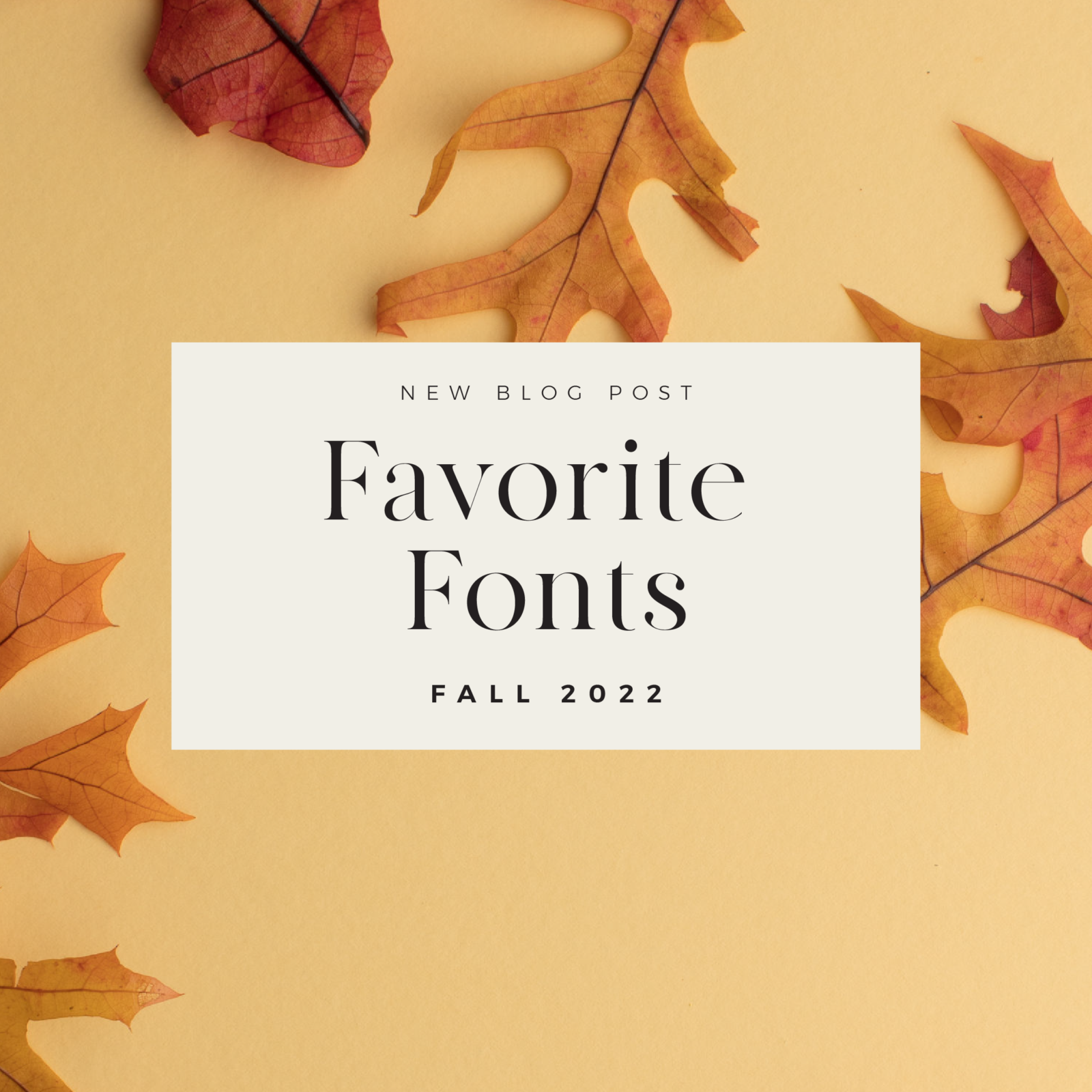 Favorite Fonts - Fall 2022 - sonrisastudio.com
